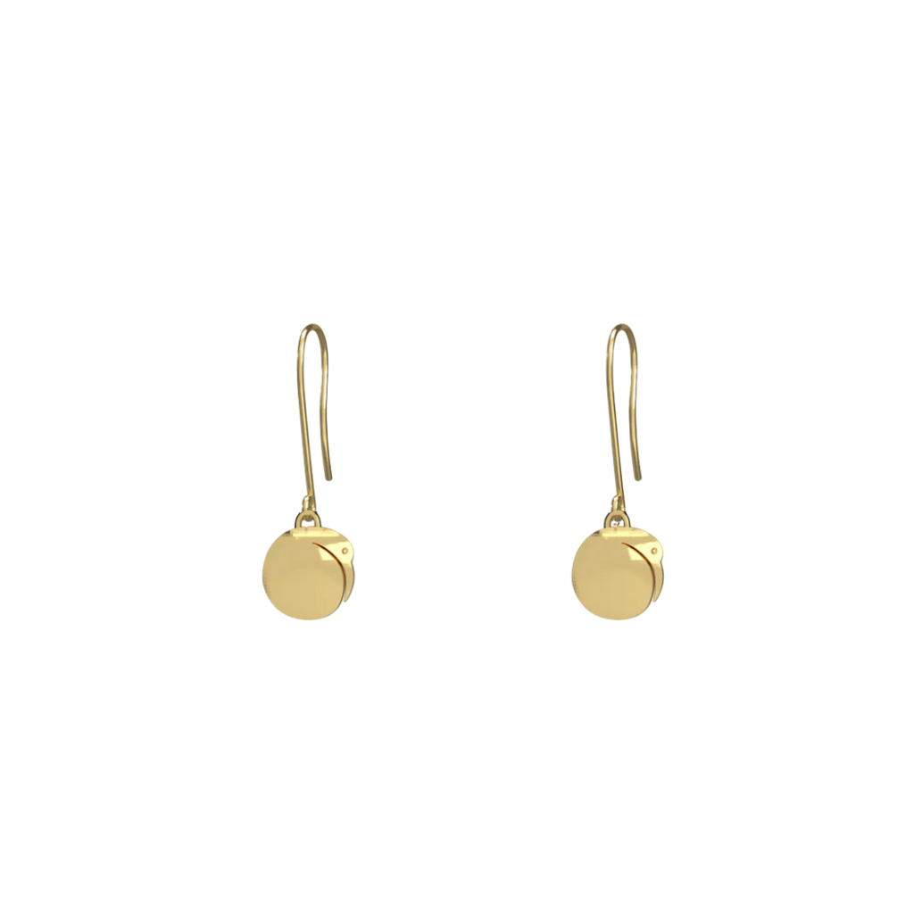 Kiwi Hook Earrings – Boh Runga